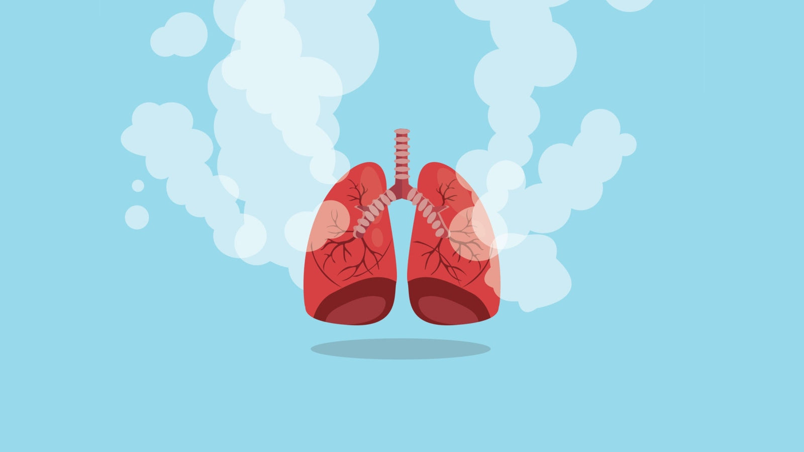 Humidity Guide – Higienis Indonesia