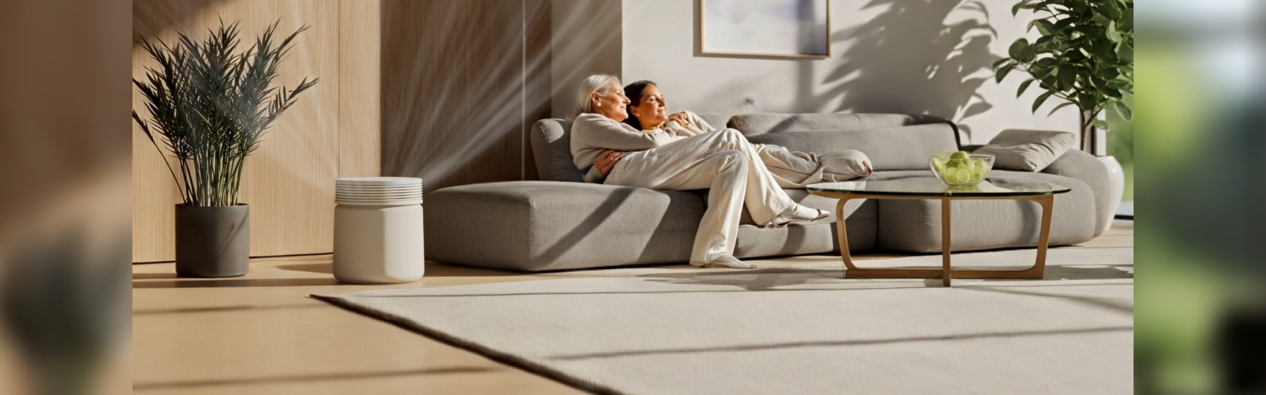 Blueair – Higienis Indonesia